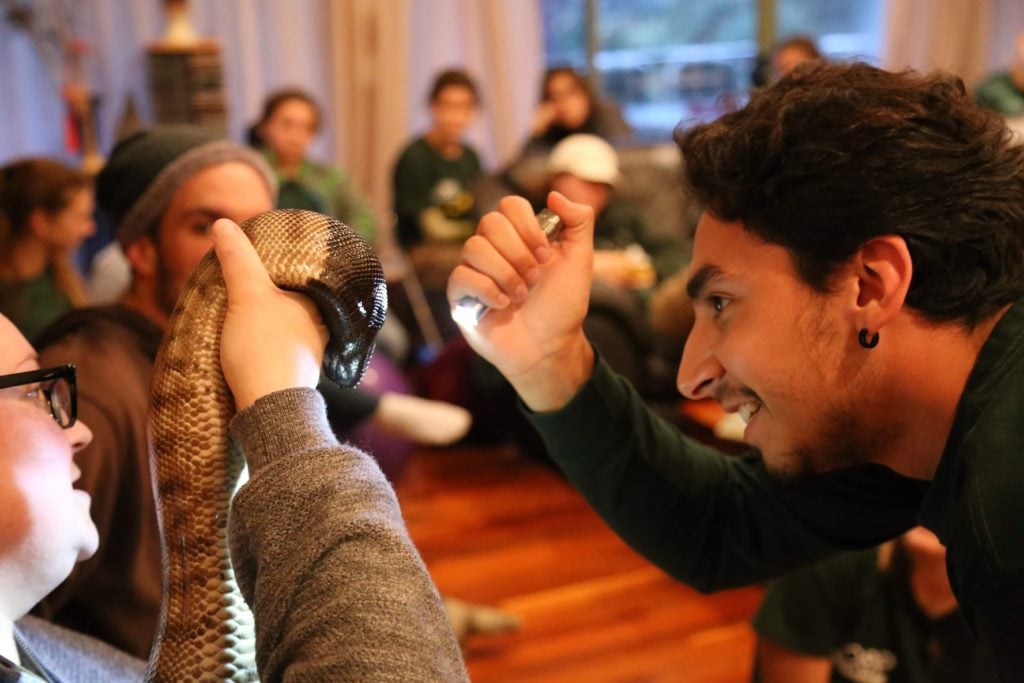 Australia 4-Week Experience - Loop Abroad - Veterinary Service and ...
