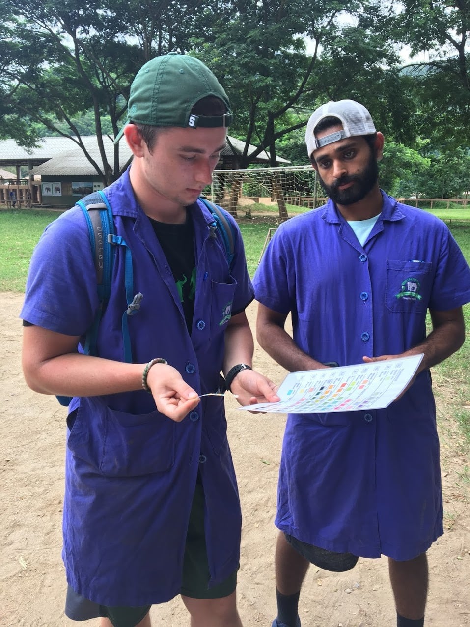 Questions - Loop Abroad - Veterinary Service and Study Abroad