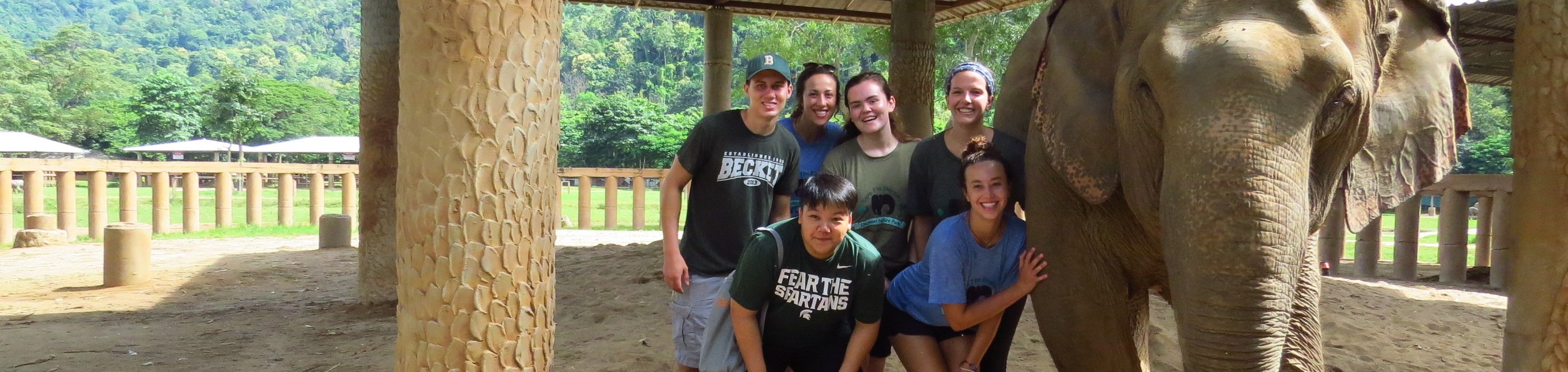 Elephant Medicine Externship - Loop Abroad - Veterinary Service and ...