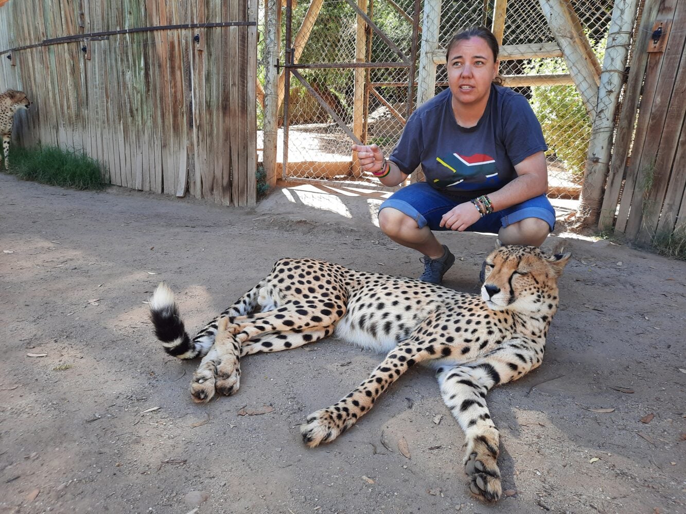 How To Find a Zoo Internship - Loop Abroad