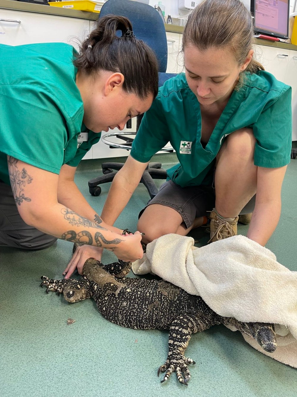 What to wear when shadowing a veterinarian - Loop Abroad