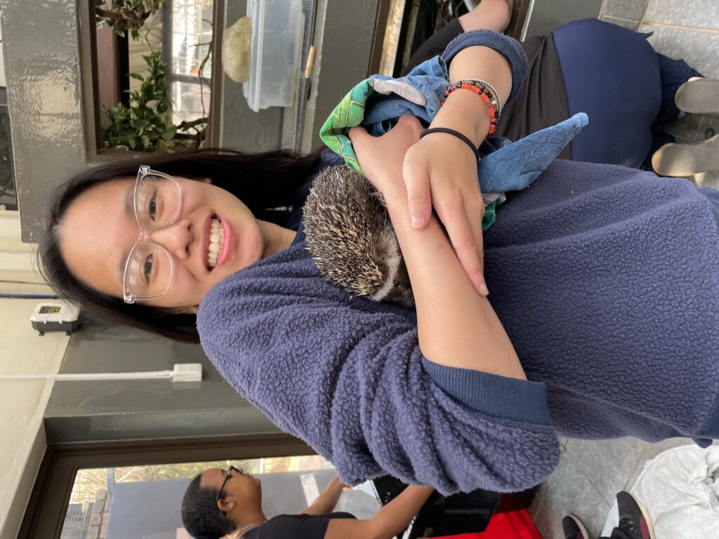South Africa Zoo Medicine - Loop Abroad - Veterinary Service and Study ...