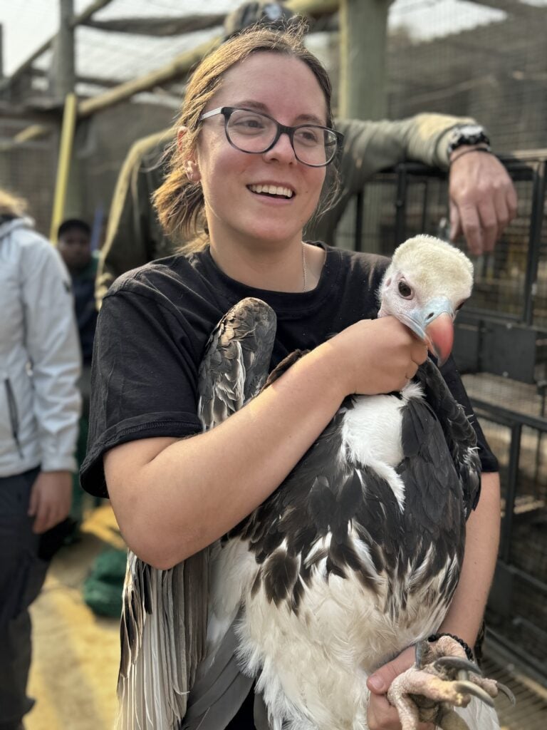 South Africa Zoo Medicine - Loop Abroad - Veterinary Service and Study ...