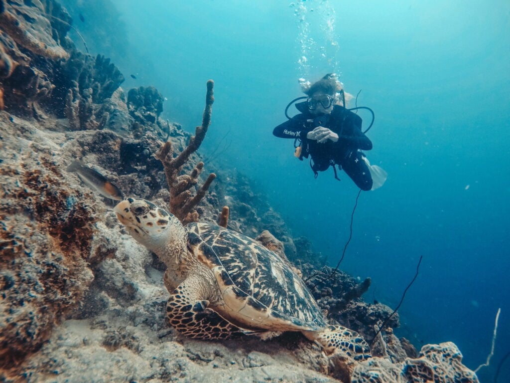 Advisors - Loop Abroad - Veterinary Service and Study Abroad