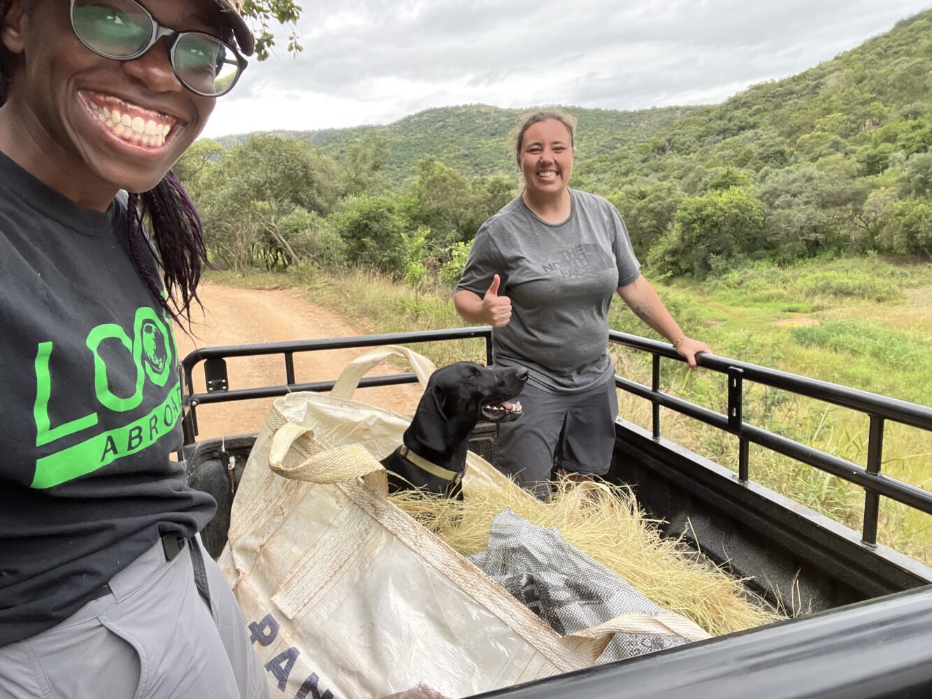 Rhino Conservation and Management - Loop Abroad - Veterinary Service ...