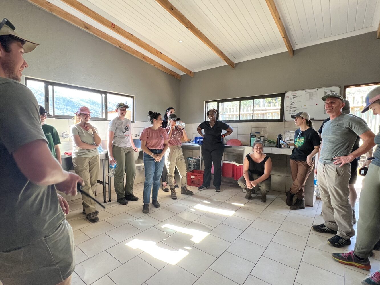 Rhino Conservation and Management - Loop Abroad - Veterinary Service ...