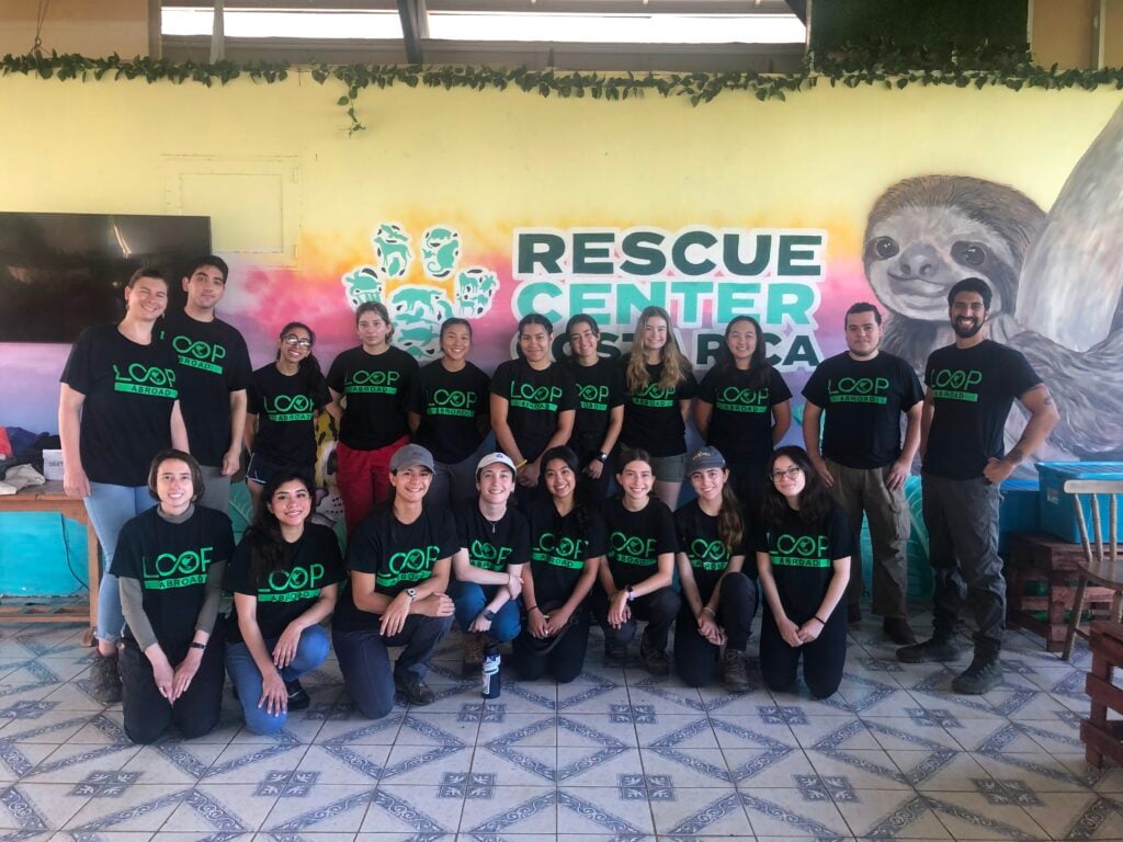 Scholarships for Veterinary Programs - Loop Abroad - Study Abroad