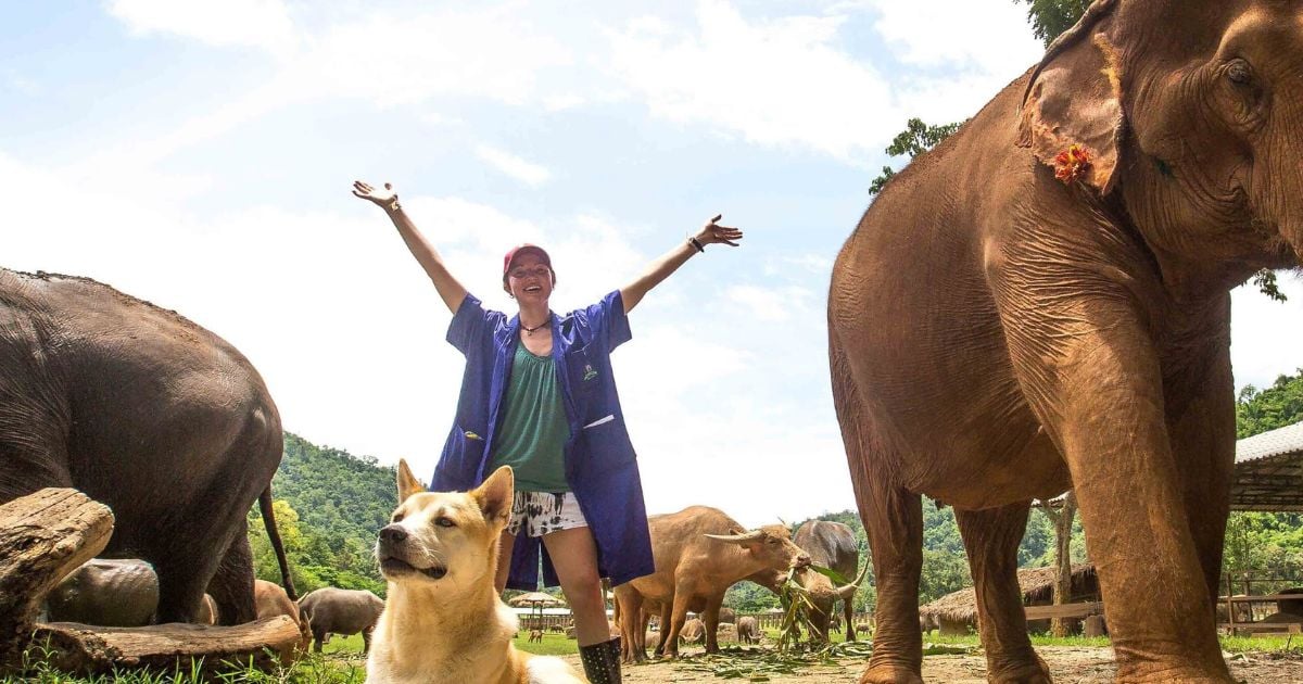 Loop Abroad - Unforgettable Veterinary Study Abroad and Service