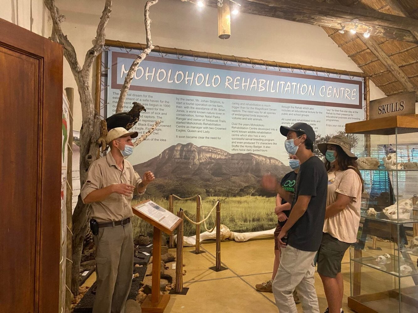 South Africa Wildlife Research - Loop Abroad - Veterinary Study Abroad