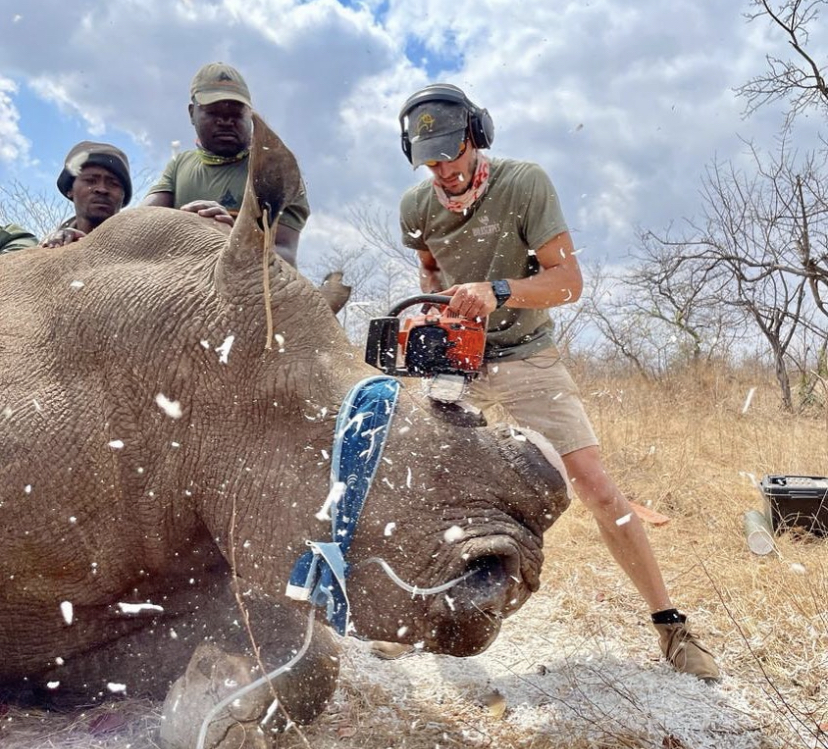 Rhino De-Horning and Elephant Collaring Mission: South Africa ...