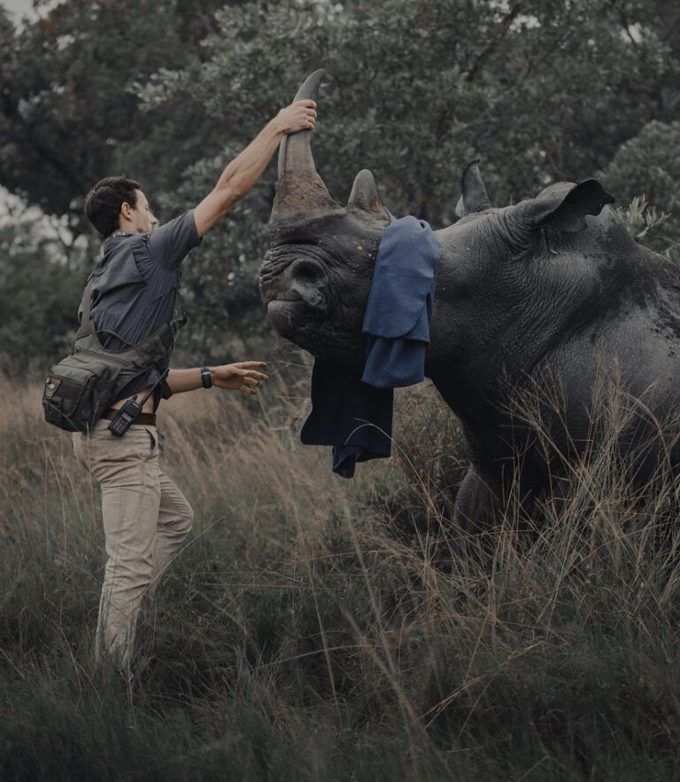 Rhino De-Horning and Elephant Collaring Mission: South Africa ...