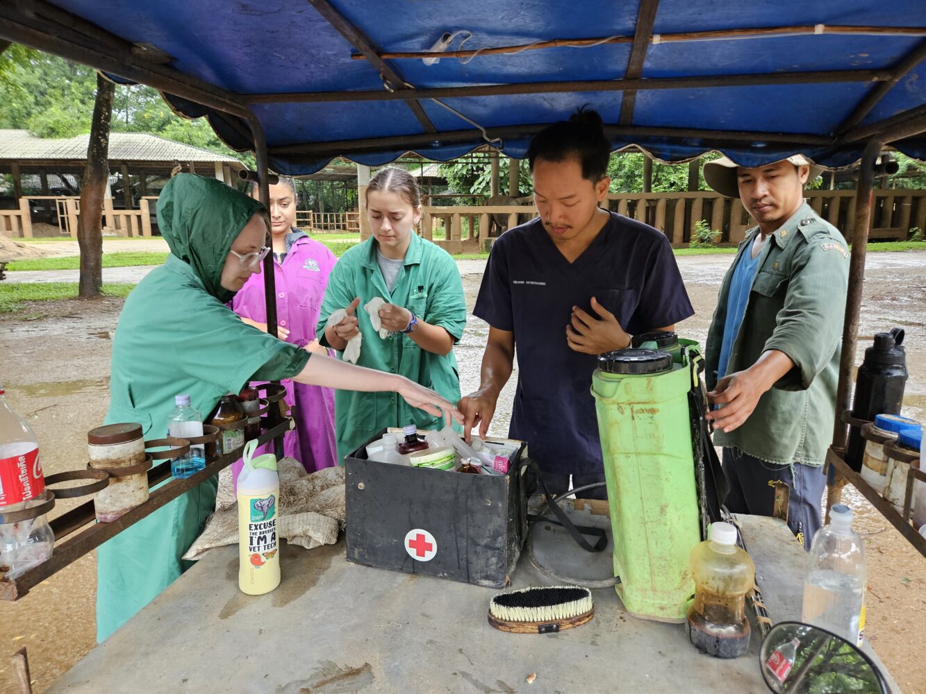 Thailand Vet Tech Program - Loop Abroad - Veterinary Service and Study ...