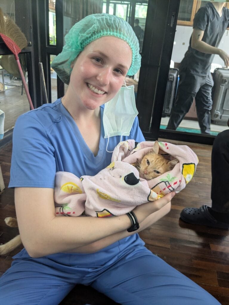 Thailand Veterinary Internship - Loop Abroad